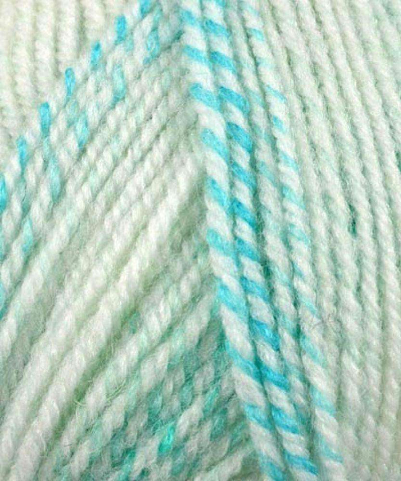 Plymouth Encore Colorspun Worsted Weight Soft Wool yarn